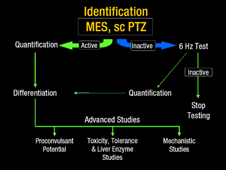 Innovative Epilepsy Therapies for the 21st Century - Part 1