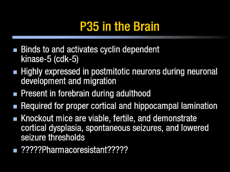 Innovative Epilepsy Therapies for the 21st Century - Part 1