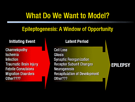 Innovative Epilepsy Therapies for the 21st Century - Part 1