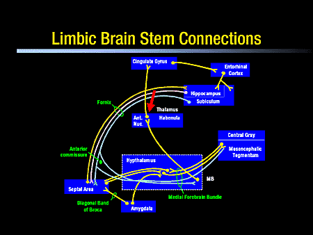 Innovative Epilepsy Therapies for the 21st Century - Part 2