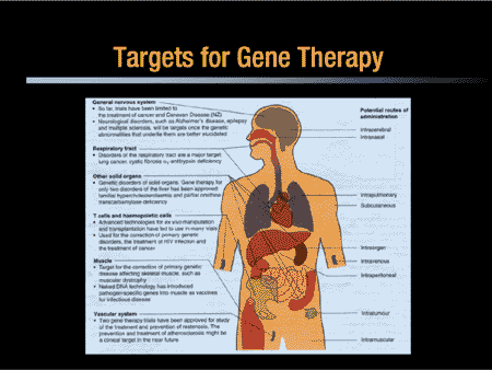 Innovative Epilepsy Therapies for the 21st Century - Part 3