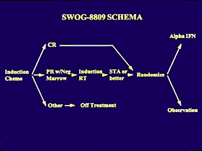 Managing Non-Hodgkin's Lymphoma in the New Millennium