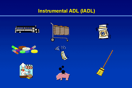 Supportive Care Considerations in the Cancer Care of the Elderly: the...