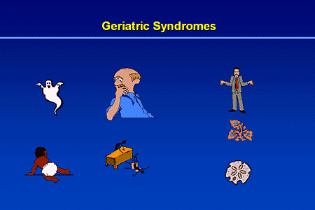 Supportive Care Considerations in the Cancer Care of the Elderly: the...