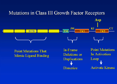Signal Transduction Inhibition (STI571): A New Standard in Oncology