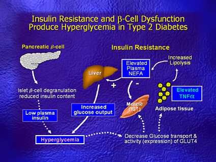 The Evolution of Diabetes Therapy: Addressing Multiple Defects