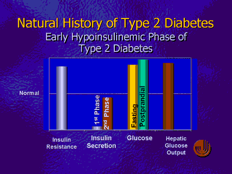 The Evolution of Diabetes Therapy: Addressing Multiple Defects