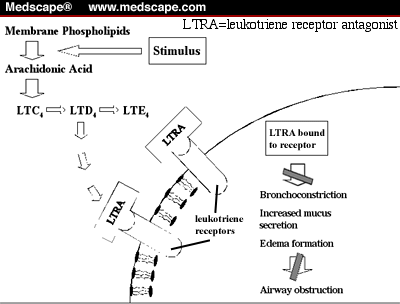 Pediatric Asthma in the 21st Century