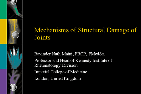 Structural Damage in Rheumatoid Arthritis