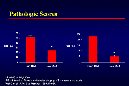 Current Concepts in Long Term Renal Allograft Surviva