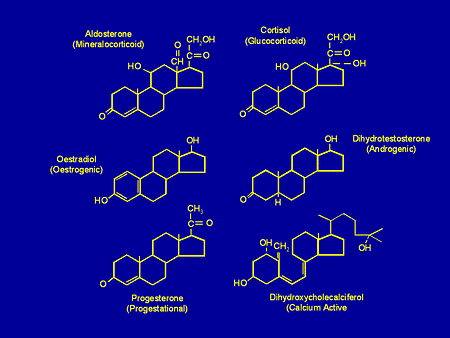 New Insights Into the Role of Aldosterone in Cardiorenal Disease and...