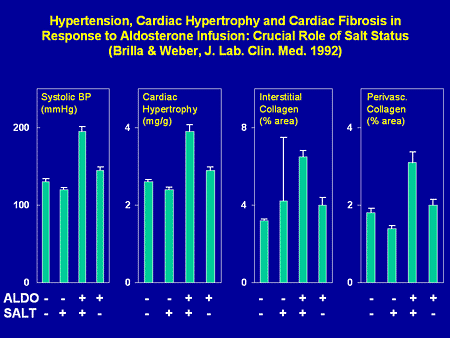 New Insights Into the Role of Aldosterone in Cardiorenal Disease and...