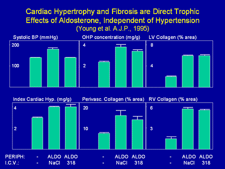 New Insights Into the Role of Aldosterone in Cardiorenal Disease and...