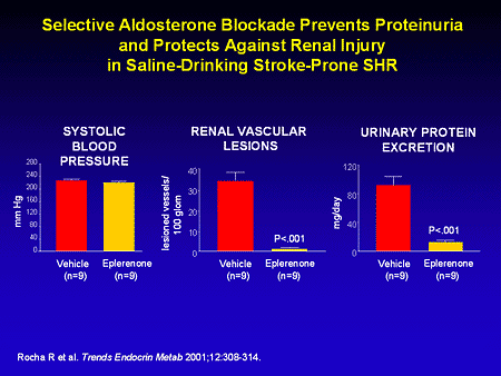 New Insights Into the Role of Aldosterone in Cardiorenal Disease and...