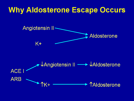 New Insights Into the Role of Aldosterone in Cardiorenal Disease and...