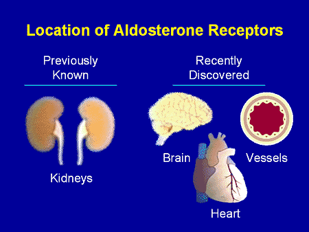 New Insights Into the Role of Aldosterone in Cardiorenal Disease and...