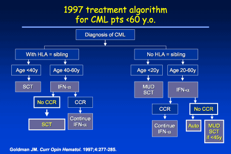 Controversies in the Management of CML
