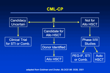 Controversies in the Management of CML
