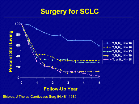 Improved Survival in Small Cell Lung Cancer: Current Treatment ...