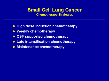 Improved Survival in Small Cell Lung Cancer: Current Treatment ...