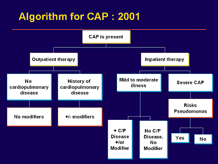 The Importance of Gram-Positive Bacterial Infections in the Hospital ...