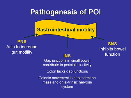 Current and Emerging Pharmacotherapy for Postoperative Ileus