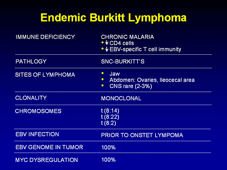 Toward an Optimal Management of Non-Hodgkin's Lymphoma