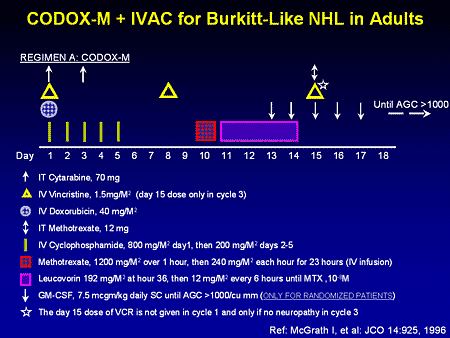Toward an Optimal Management of Non-Hodgkin's Lymphoma