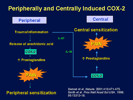 A New Era in Pain Management With COX-2 Specific Inhibitors