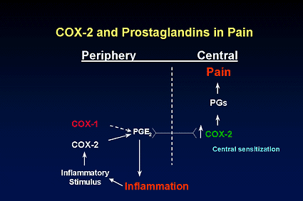 A New Era in Pain Management With COX-2 Specific Inhibitors