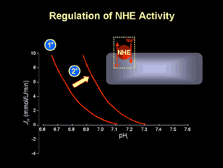 New Approaches to Myocardial Protection