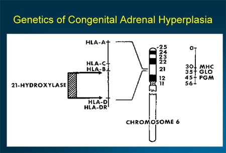 Masters of Pediatrics: Neonatology Issues for the General Pediatrician