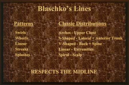 Masters of Pediatrics: Dermatology