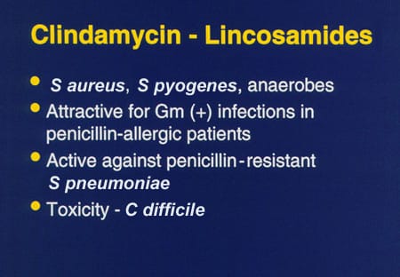 Masters of Pediatrics: Infectious Disease Update 1