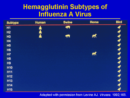 Preventing Influenza: New Opportunities for an Old Disease