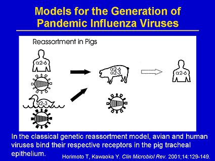 Preventing Influenza: New Opportunities for an Old Disease
