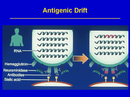 Preventing Influenza: New Opportunities for an Old Disease