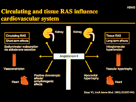 Impact of the RAAS on CVD: Is Early Intervention Better?