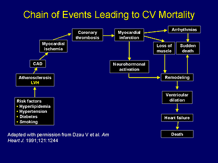 Impact of the RAAS on CVD: Is Early Intervention Better?