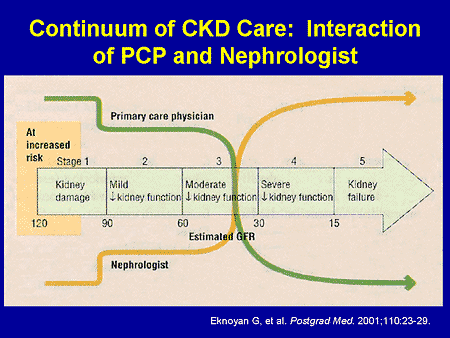 Complications and Comorbidities of CKD: Defining Optimal Patient Care