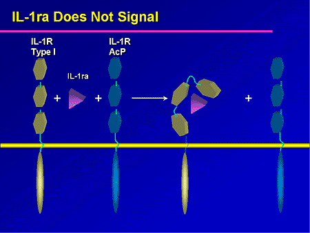 Biologic Therapies for Rheumatoid Arthritis: Navigating the Changing ...
