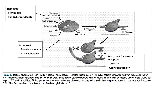 Diabetes and Cardiovascular Disease: The Role of the Glycoprotein IIb ...
