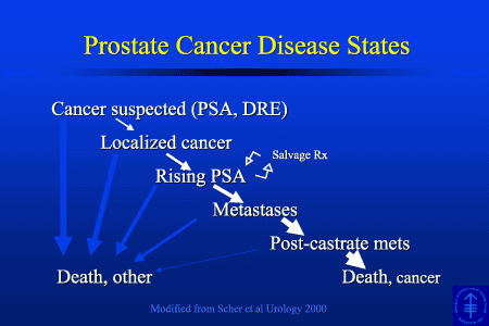 Emerging Concepts in the Treatment of Prostate Cancer