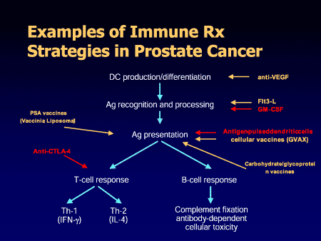 Emerging Concepts in the Treatment of Prostate Cancer