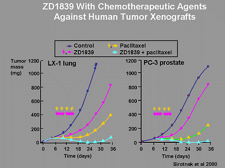 Chemotherapy and Beyond: The Changing Face of Systemic Therapy for ...