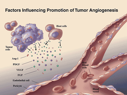 Chemotherapy and Beyond: The Changing Face of Systemic Therapy for ...