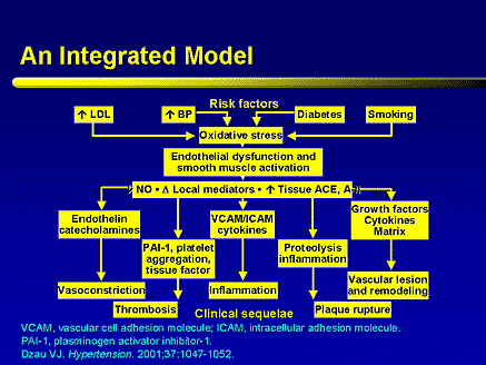 Secondary Stroke Prevention: Clinical Implications