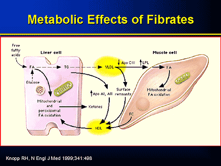 The Metabolic Syndrome and Cardiovascular Disease: Challenges and ...