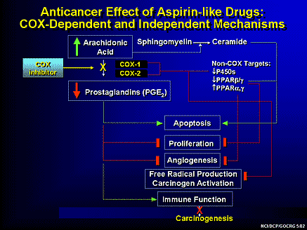 Broadening the Applications of COX-2 Specific Inhibition in ...