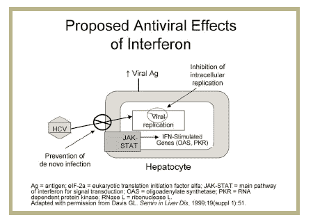Hemolysis and Bone Marrow Suppression: New Insights Into the Mechanisms ...